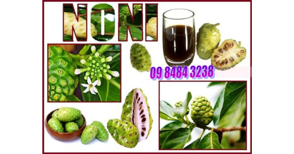 Tahitian Noni Max mới nhất và sáng tạo nhất với hàm lượng iridoids ...